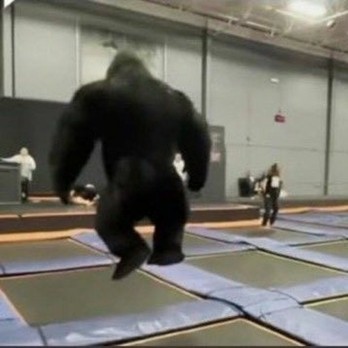 Stream some random dude music | Listen to songs, albums, playlists for ...