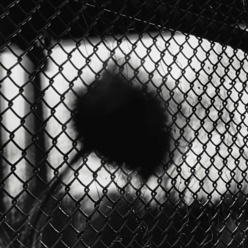 Stream AgonyOST (Unofficial) music | Listen to songs, albums, playlists ...