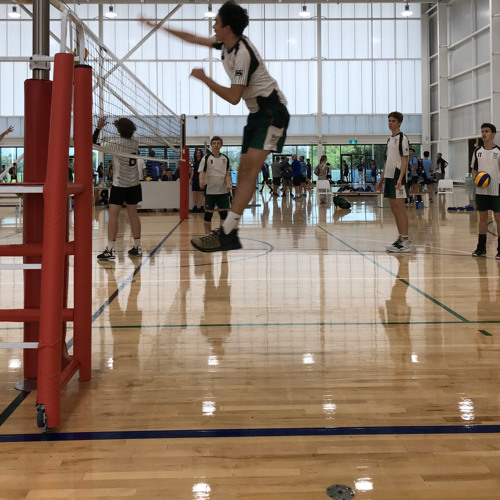 Stream Angus Nicholson music | Listen to songs, albums, playlists for ...