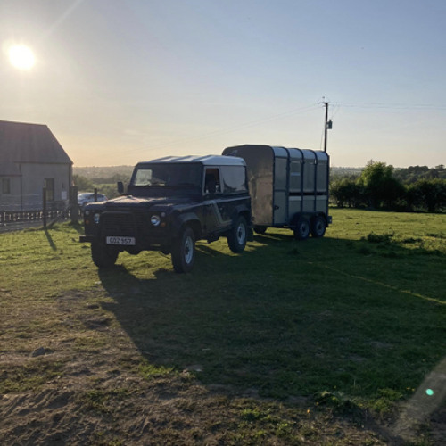 Stream David Megaw music | Listen to songs, albums, playlists for free ...