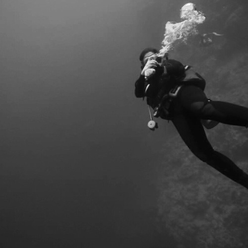 Stream Mayar Mohamed music | Listen to songs, albums, playlists for ...