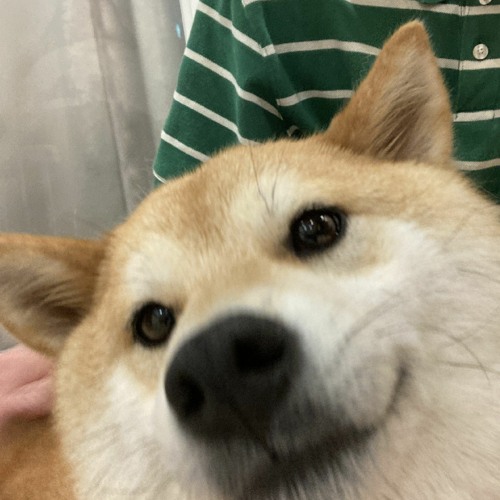 Stream 제민(Jemin) music | Listen to songs, albums, playlists for free on ...