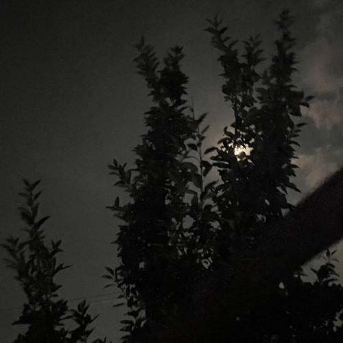 Stream Go Mochi music | Listen to songs, albums, playlists for free on ...