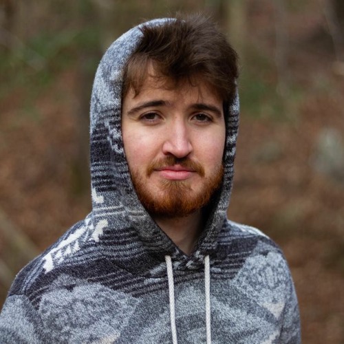 Stream Pangolin Playground by Jacob Cooke | Listen online for free on ...