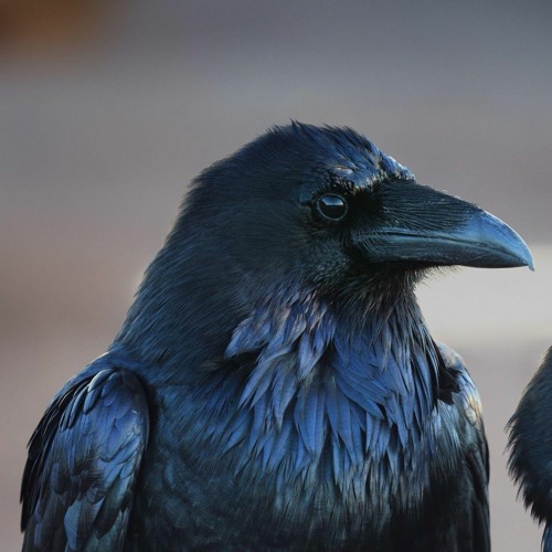 Stream TyJG music | Listen to songs, albums, playlists for free on ...