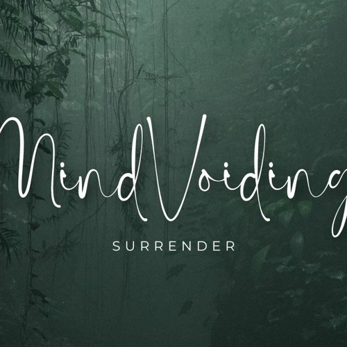 Stream Mindvoiding | Listen to podcast episodes online for free on ...
