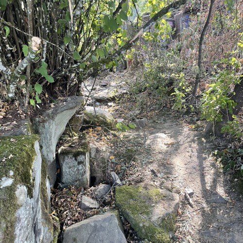 Stream lil penis boy music | Listen to songs, albums, playlists for ...