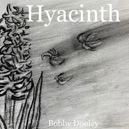 Stream Bobby Dooley music | Listen to songs, albums, playlists for free ...