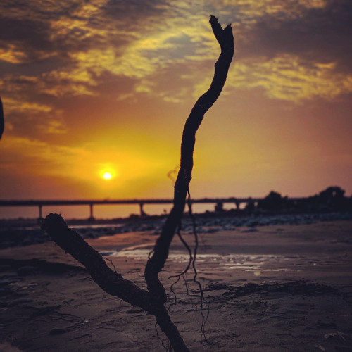 Stream Nasir Umer music | Listen to songs, albums, playlists for free ...