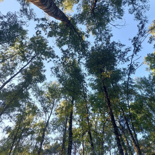 Stream rrug music | Listen to songs, albums, playlists for free on ...