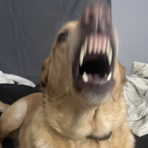 Stream ritz music | Listen to songs, albums, playlists for free on ...