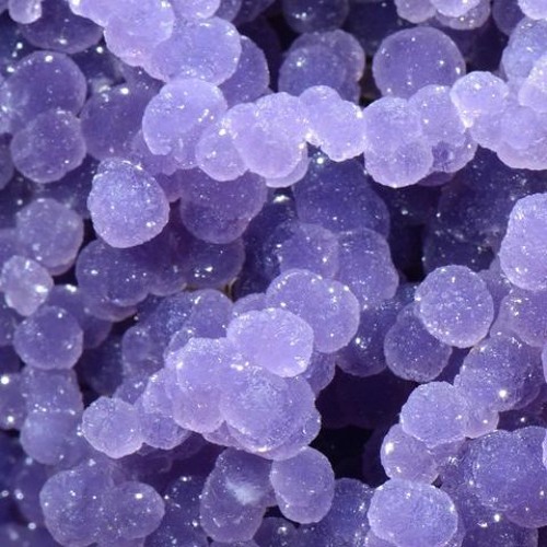 Stream Cave Grape music | Listen to songs, albums, playlists for free ...