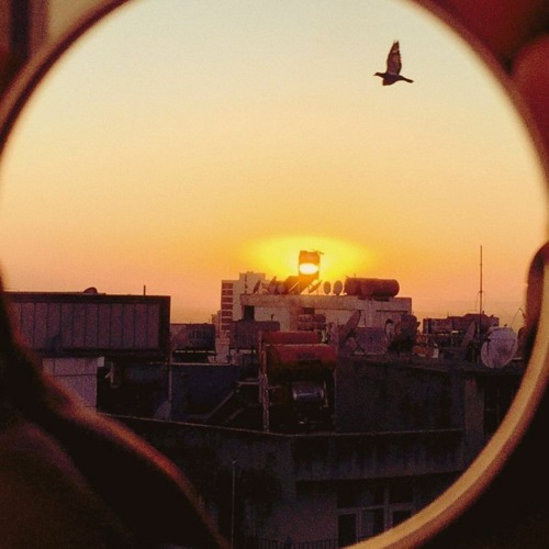 Stream Frank River music | Listen to songs, albums, playlists for free ...