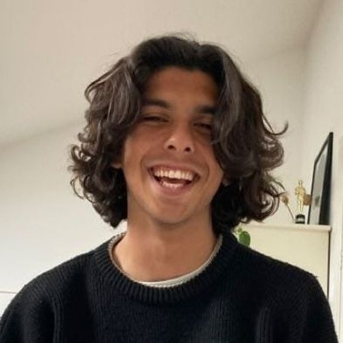 Stream Thiemen Seeuws music | Listen to songs, albums, playlists for ...