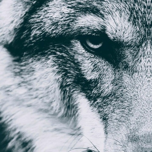 Stream KK music | Listen to songs, albums, playlists for free on SoundCloud