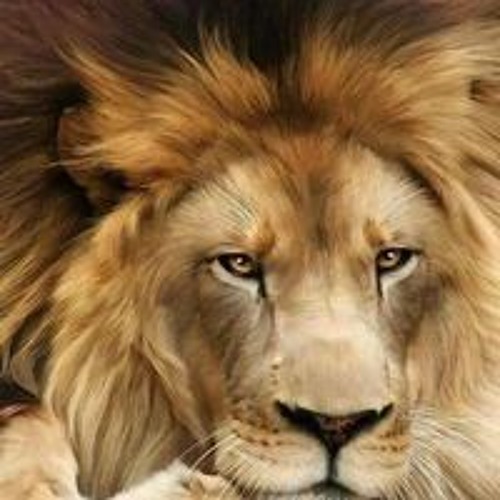 Stream Fadi Abo Rayan music | Listen to songs, albums, playlists for ...