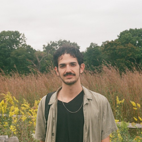 Stream Roy Ben Bashat music | Listen to songs, albums, playlists for ...