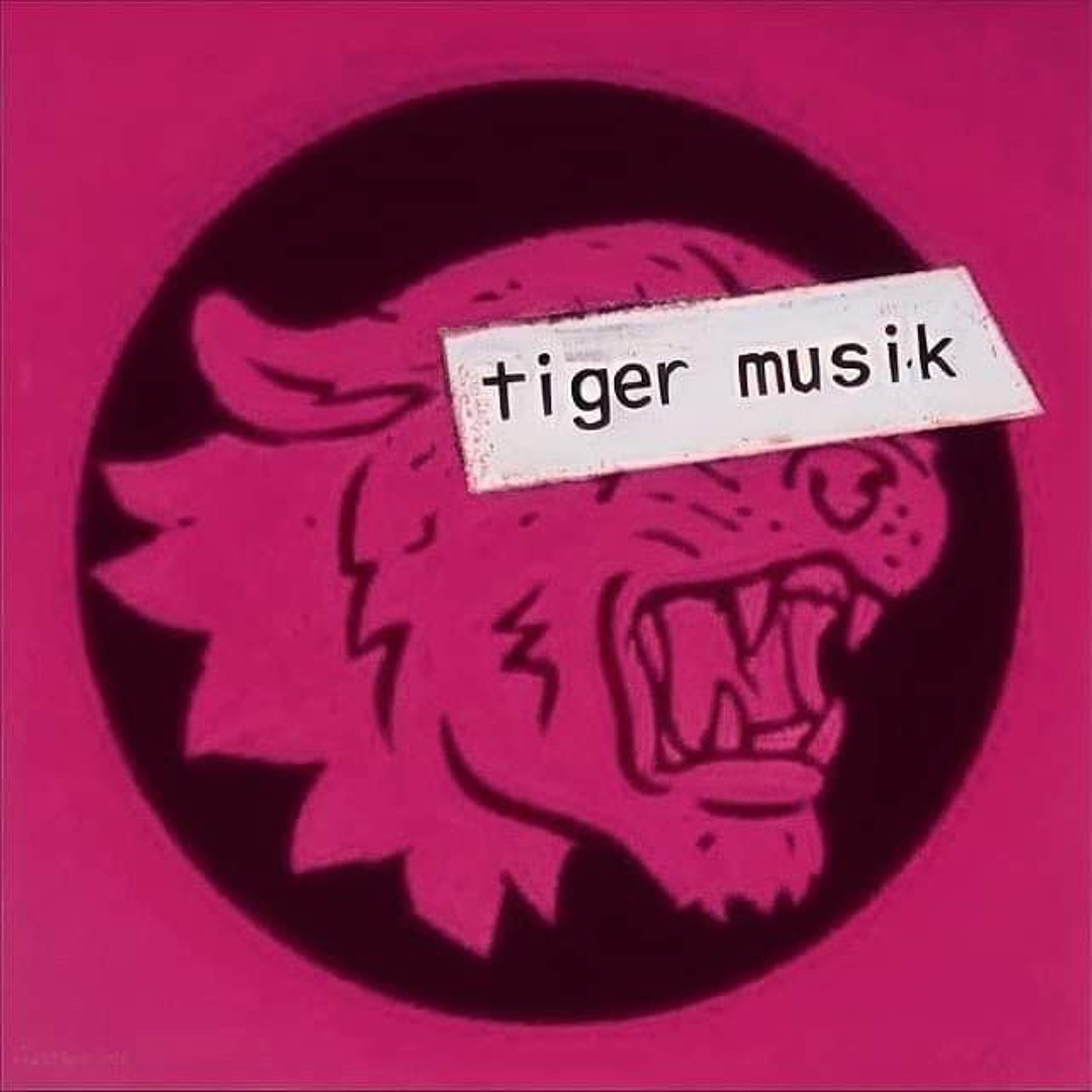 Stream Tiger Musik music | Listen to songs, albums, playlists for free ...