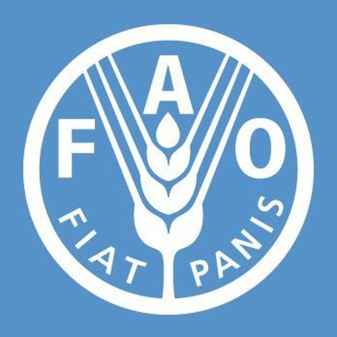 Stream Zero Hunger - Turning Commitment into Action to Achieve SDG2-FAO ...