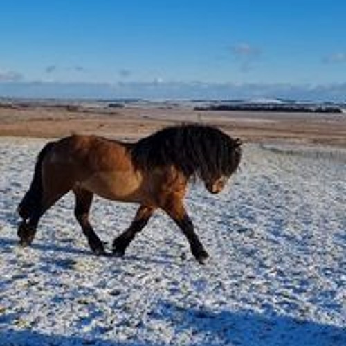 Stream Jade Cook music | Listen to songs, albums, playlists for free on ...