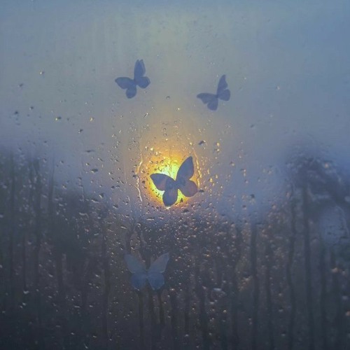 Stream ⸸ 𝐃𝐚𝐫𝐝𝐞𝐬𝐚𝐫 ⸸ music | Listen to songs, albums, playlists for free ...