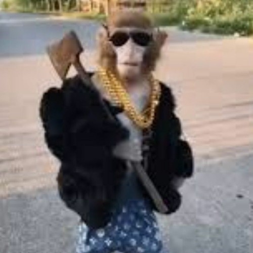 Stream Dingle Monke music | Listen to songs, albums, playlists for free ...