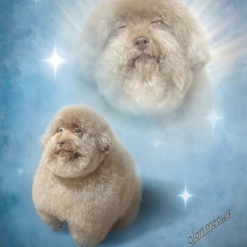 Stream Fontain Grease music | Listen to songs, albums, playlists for ...