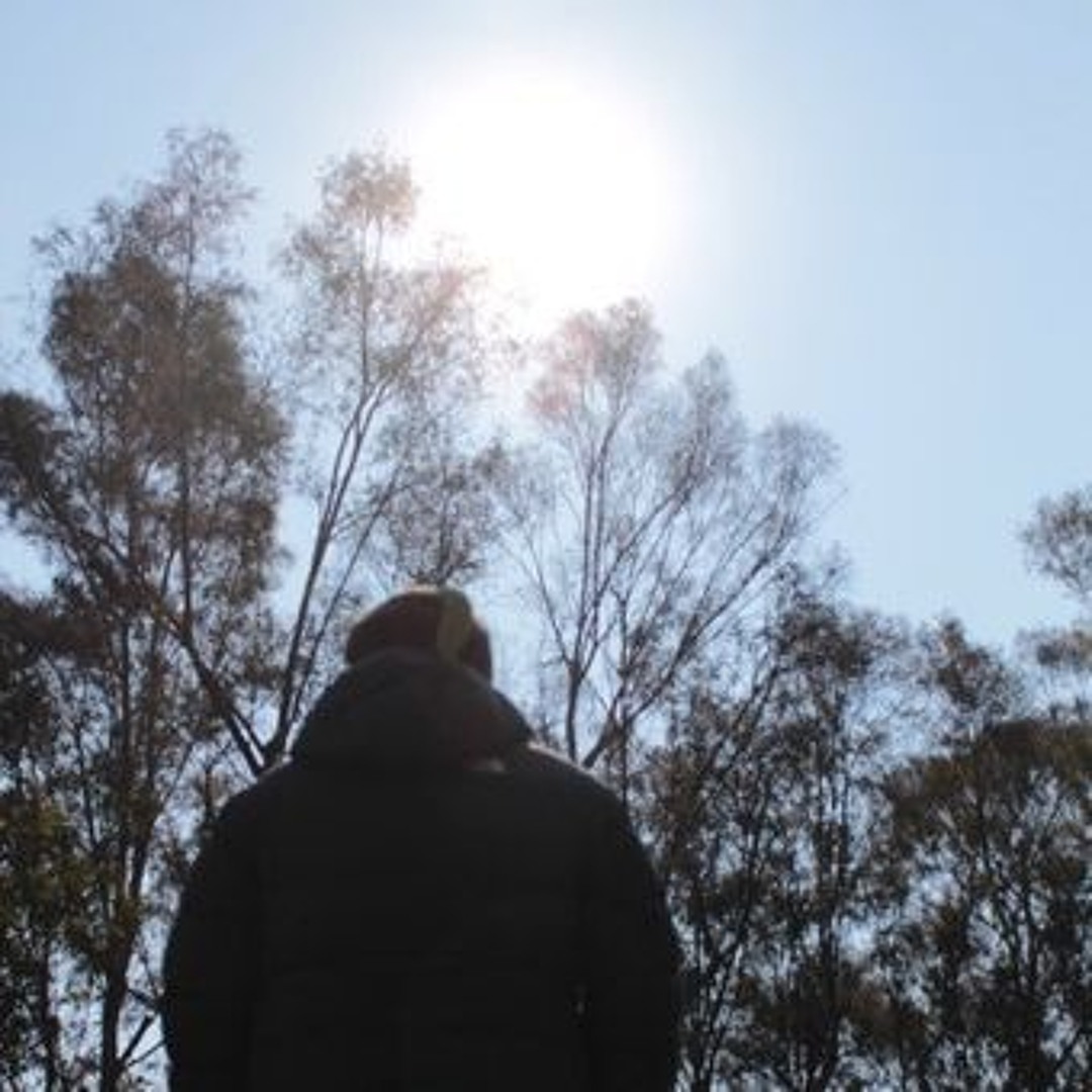 Stream Saldat music | Listen to songs, albums, playlists for free on ...