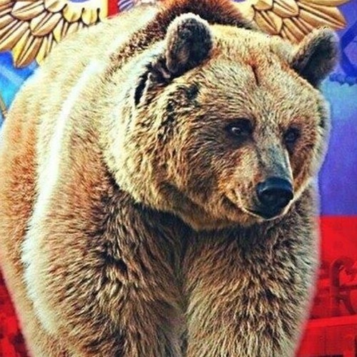 Stream chuvachok music | Listen to songs, albums, playlists for free on SoundCloud