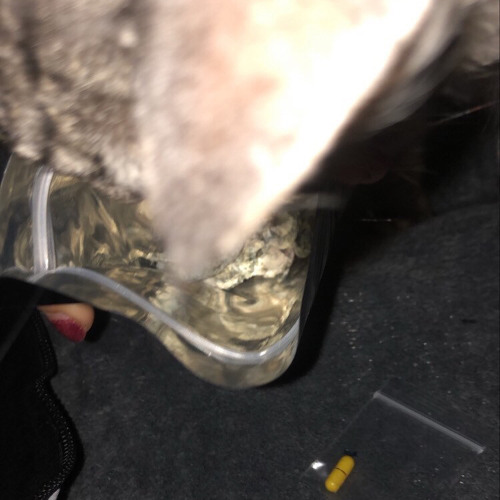 Stream alyssa. music | Listen to songs, albums, playlists for free on ...