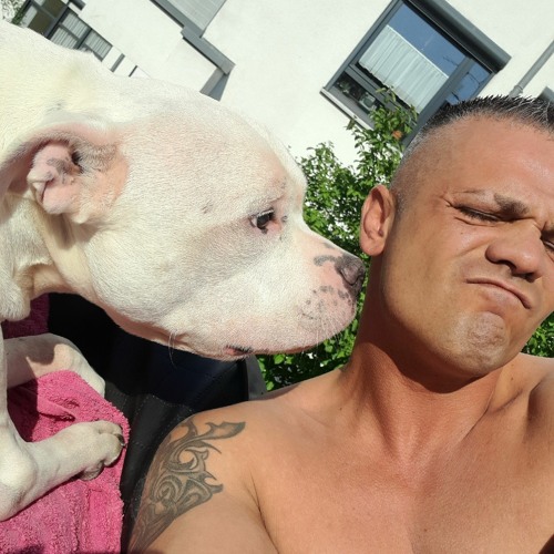 Stream Steven Schaefer music | Listen to songs, albums, playlists for ...