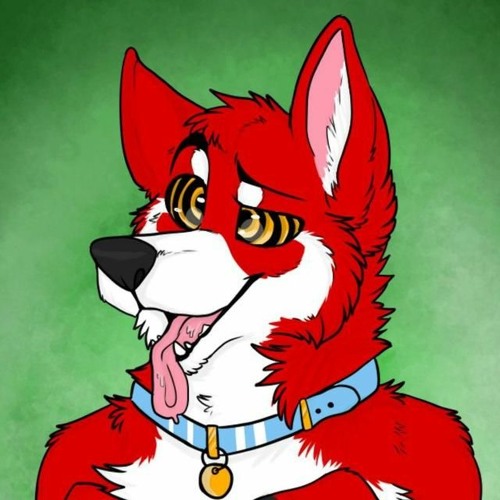 Stream Furry Palm Beach | Listen to podcast episodes online for free on ...