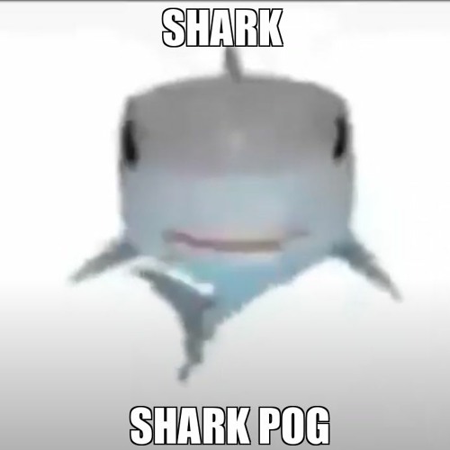 Stream shark, pog? music | Listen to songs, albums, playlists for free ...