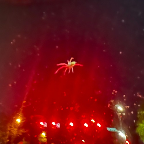 Stream Jacob Rao music | Listen to songs, albums, playlists for free on ...