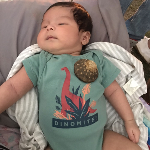 Stream Maurice Crow Dog music | Listen to songs, albums, playlists for ...