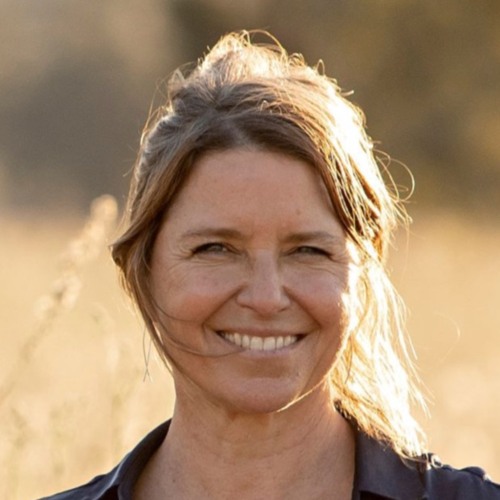 Stream Meditations by Danette Watson music | Listen to songs, albums ...