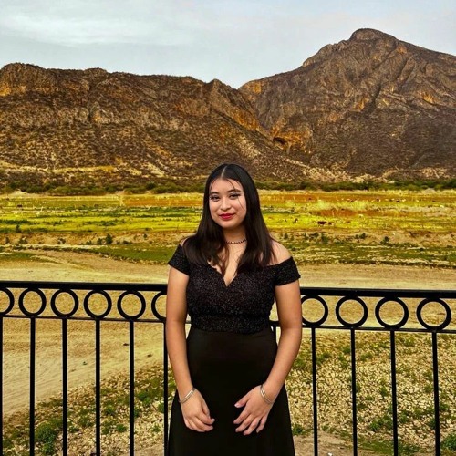 Stream Barbara Encinas Quiroz music | Listen to songs, albums ...