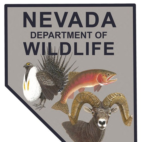 Stream The Nevada Department of Wildlife's Nevada Wild music | Listen ...