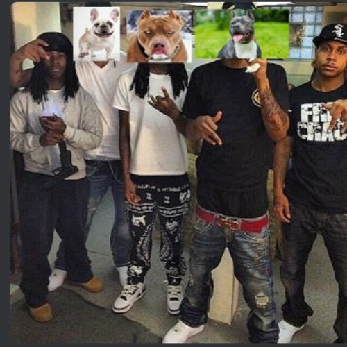 Stream DOG HOMIES music | Listen to songs, albums, playlists for free ...