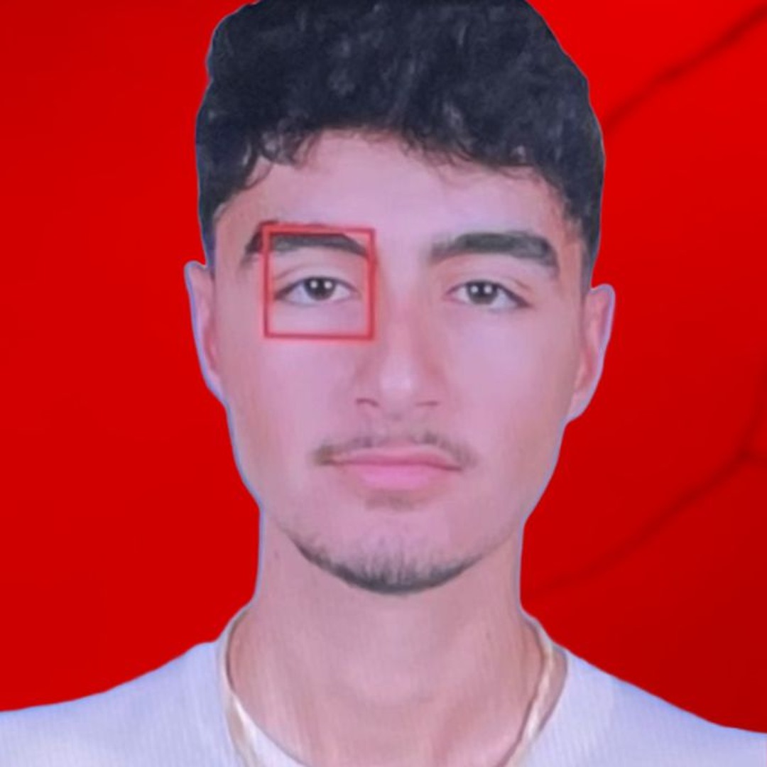 Stream ORI PETEL music | Listen to songs, albums, playlists for free on ...