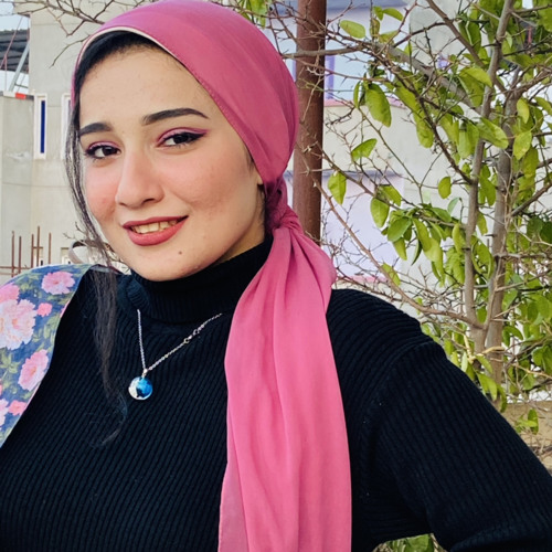 Stream Raneem Salama music | Listen to songs, albums, playlists for ...