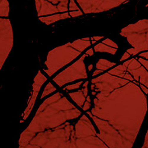 Stream Anthony Olmos | Listen to podcast episodes online for free on ...