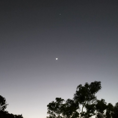 Stream SaBuMaFu music | Listen to songs, albums, playlists for free on ...