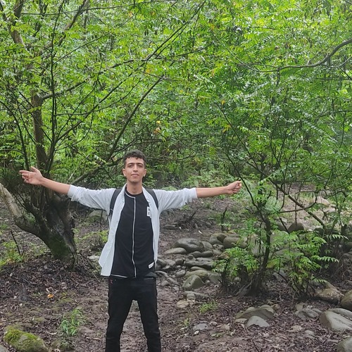 Stream dash ali music | Listen to songs, albums, playlists for free on ...