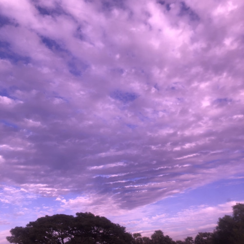 Stream Gina Ren music | Listen to songs, albums, playlists for free on ...