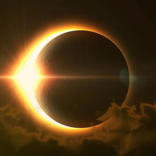 Stream dank mob music | Listen to songs, albums, playlists for free on ...