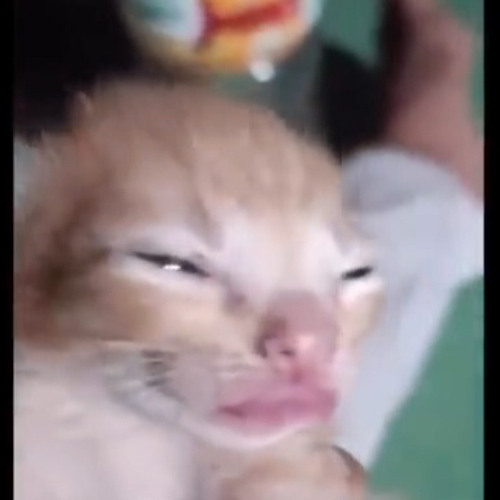 Stream Gimpy music | Listen to songs, albums, playlists for free on ...