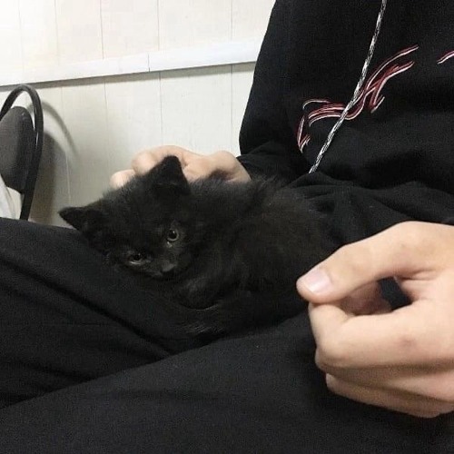 Stream Noodle music | Listen to songs, albums, playlists for free on ...