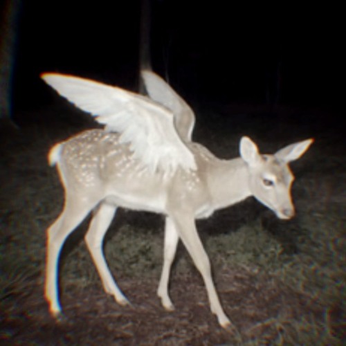 Stream Mitszi music | Listen to songs, albums, playlists for free on ...