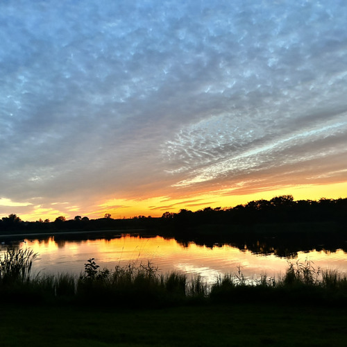 Stream Elle Fitzpatrick music | Listen to songs, albums, playlists for ...